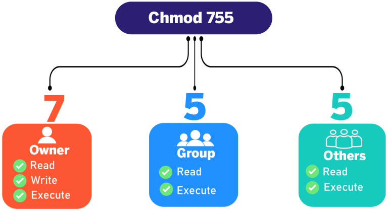 What Does Chmod 755 Command Mean And When Should You Use It Linovox